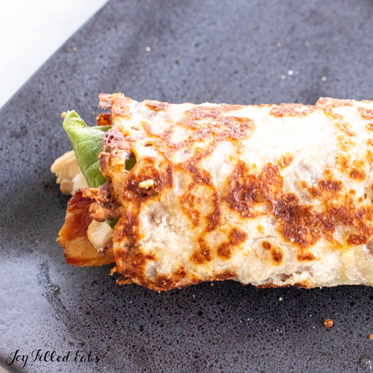 5 Minute 2 Ingredient Keto Tortillas! Easy Cheese Tortilla Recipe