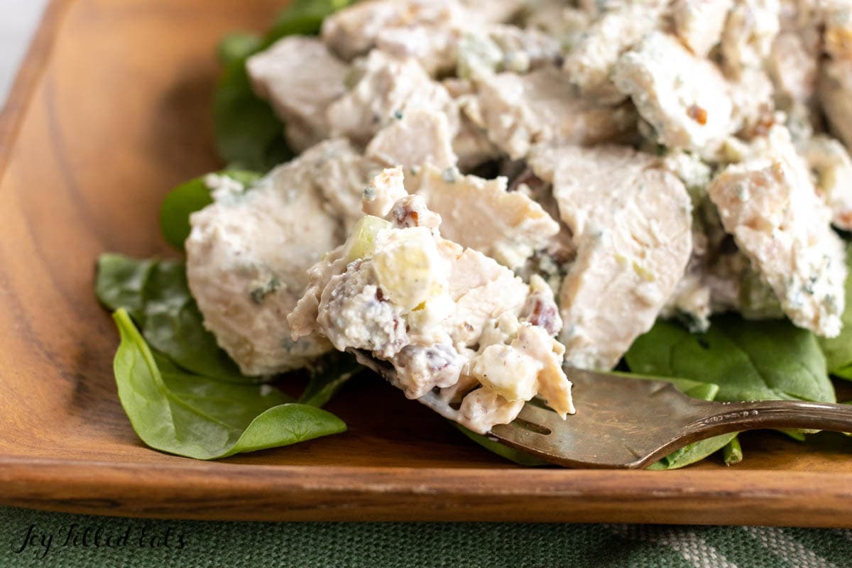 Blue Cheese Chicken Salad Recipe with Apple & Pecans